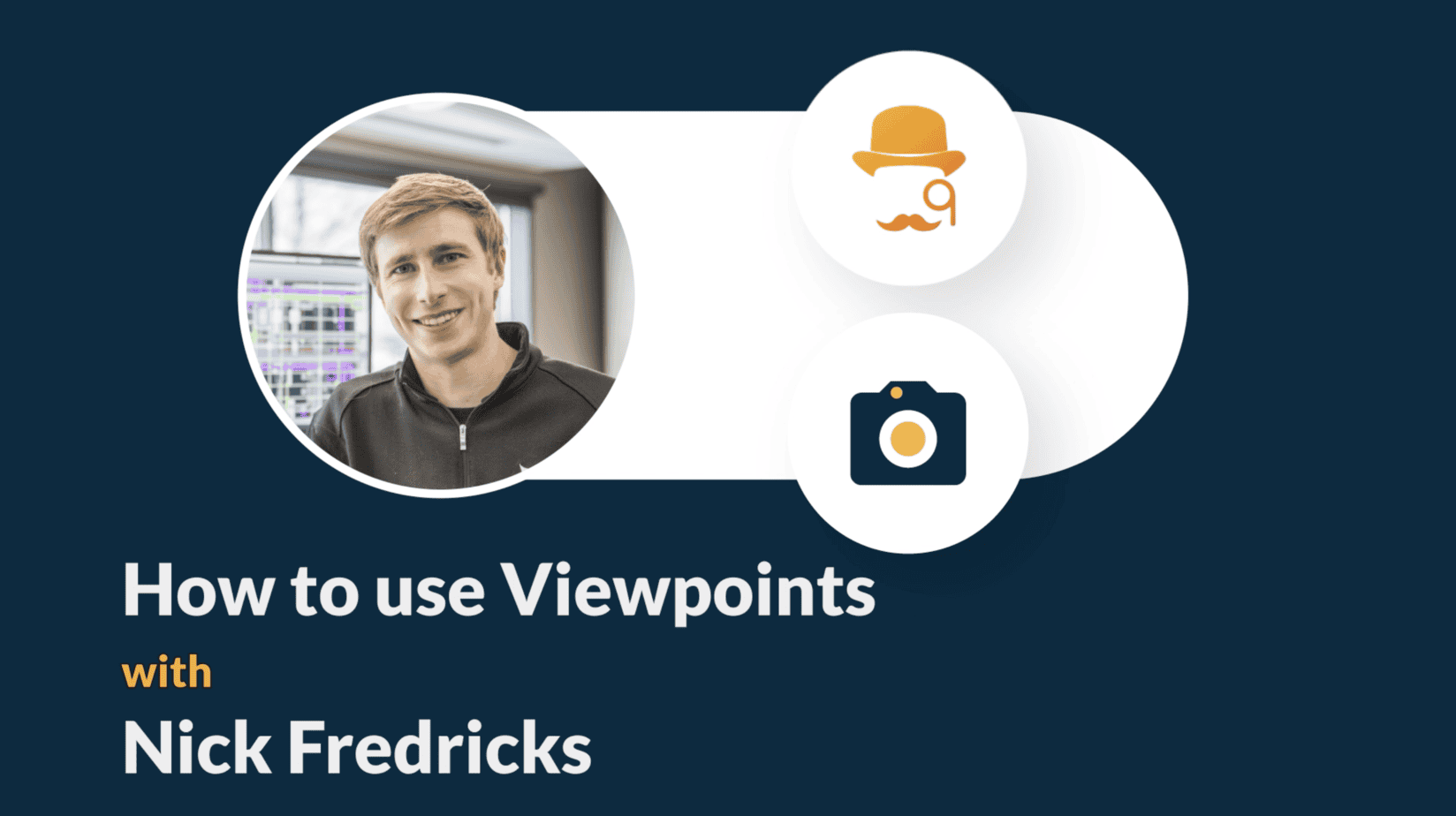 How to use Viewpoints | FlyPaper